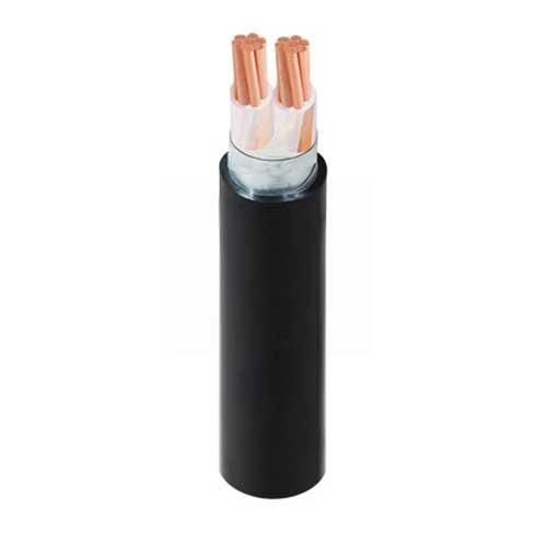 Dây cáp điện Cadivi CXV/DSTA-2x120 mm2